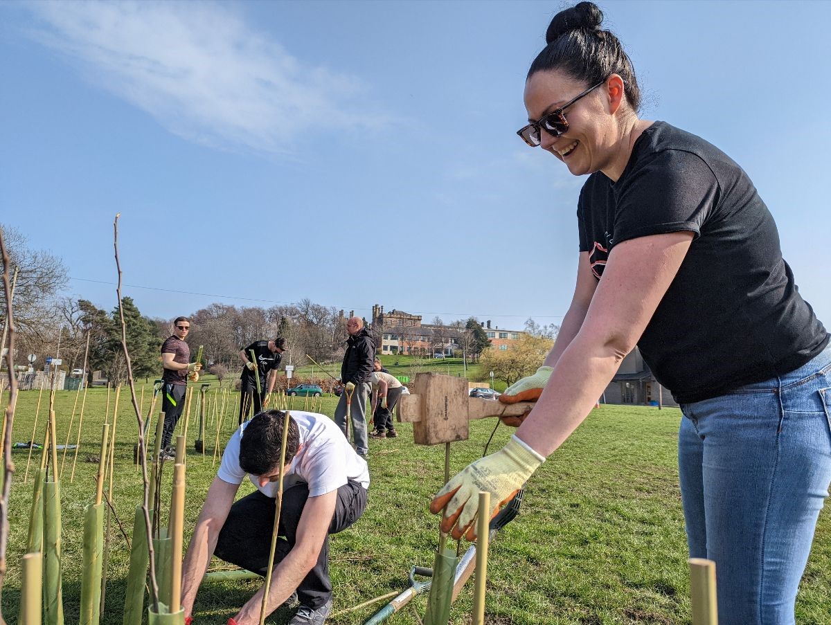 7,000 new trees and plant take root at Gartnavel Hospital Campus - NHSGGC